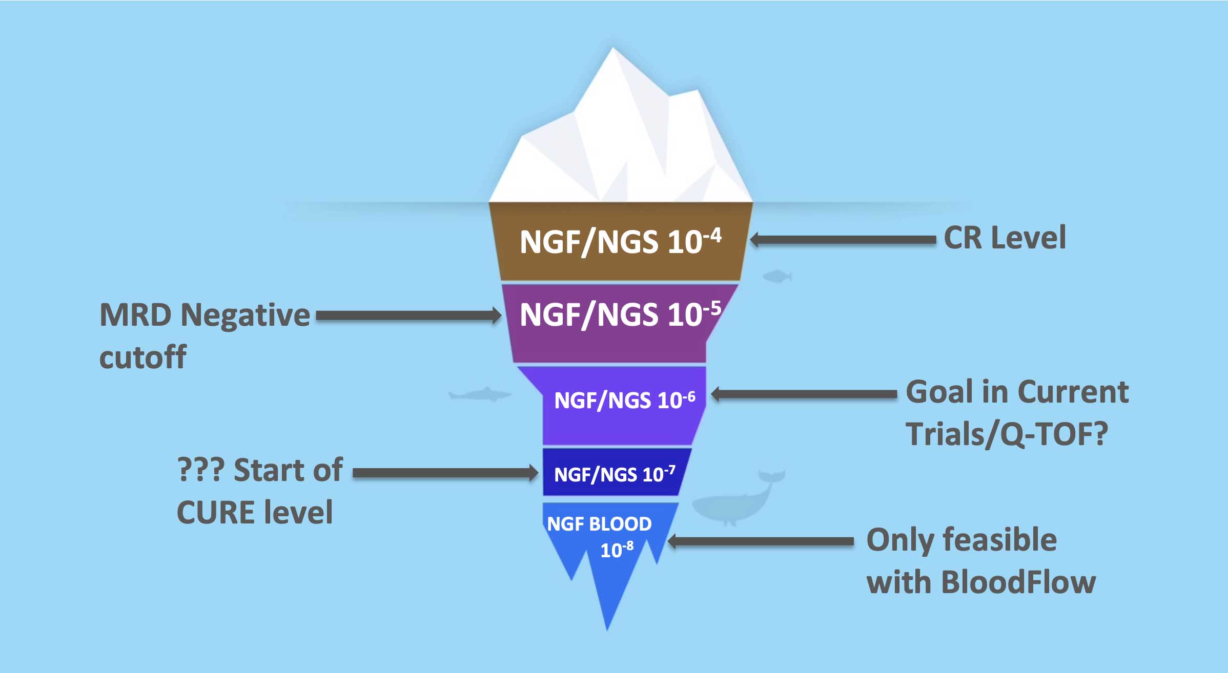 Next Generation Testing and Decision Making| Int'l Myeloma Foundation