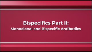 Bispecifics Part 2: Monoclonal and Bispecific Antibodies
